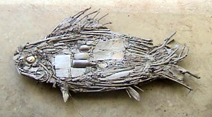 Beach Fish - SIL;VERO